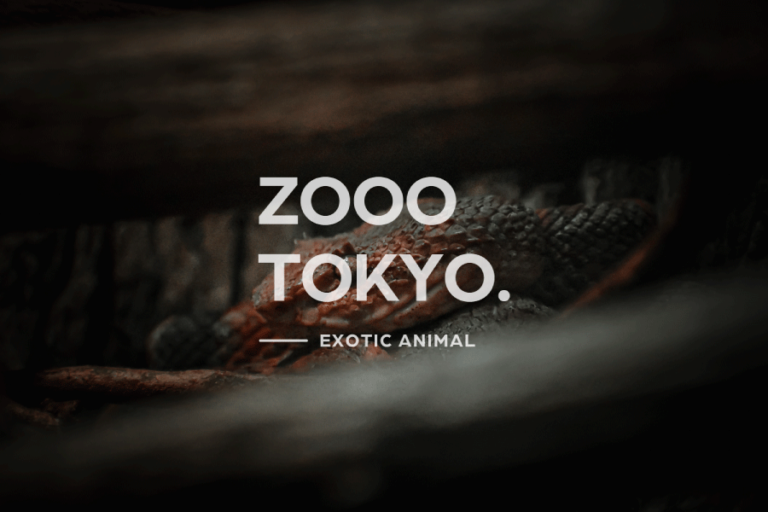 GROWING | 全国の爬虫類ショップ・専門店一覧